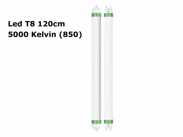Led T8 120cm tube 5000 Kelvin 850 2800 Lumen